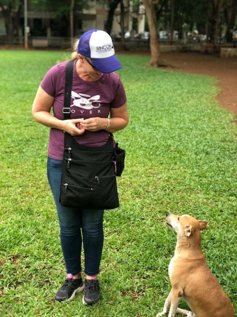 1 - Positive Animal Wellness